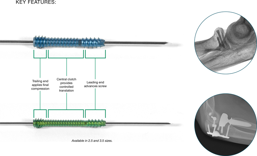 Reduct Skeletal Dynamics Skeletal Dynamics