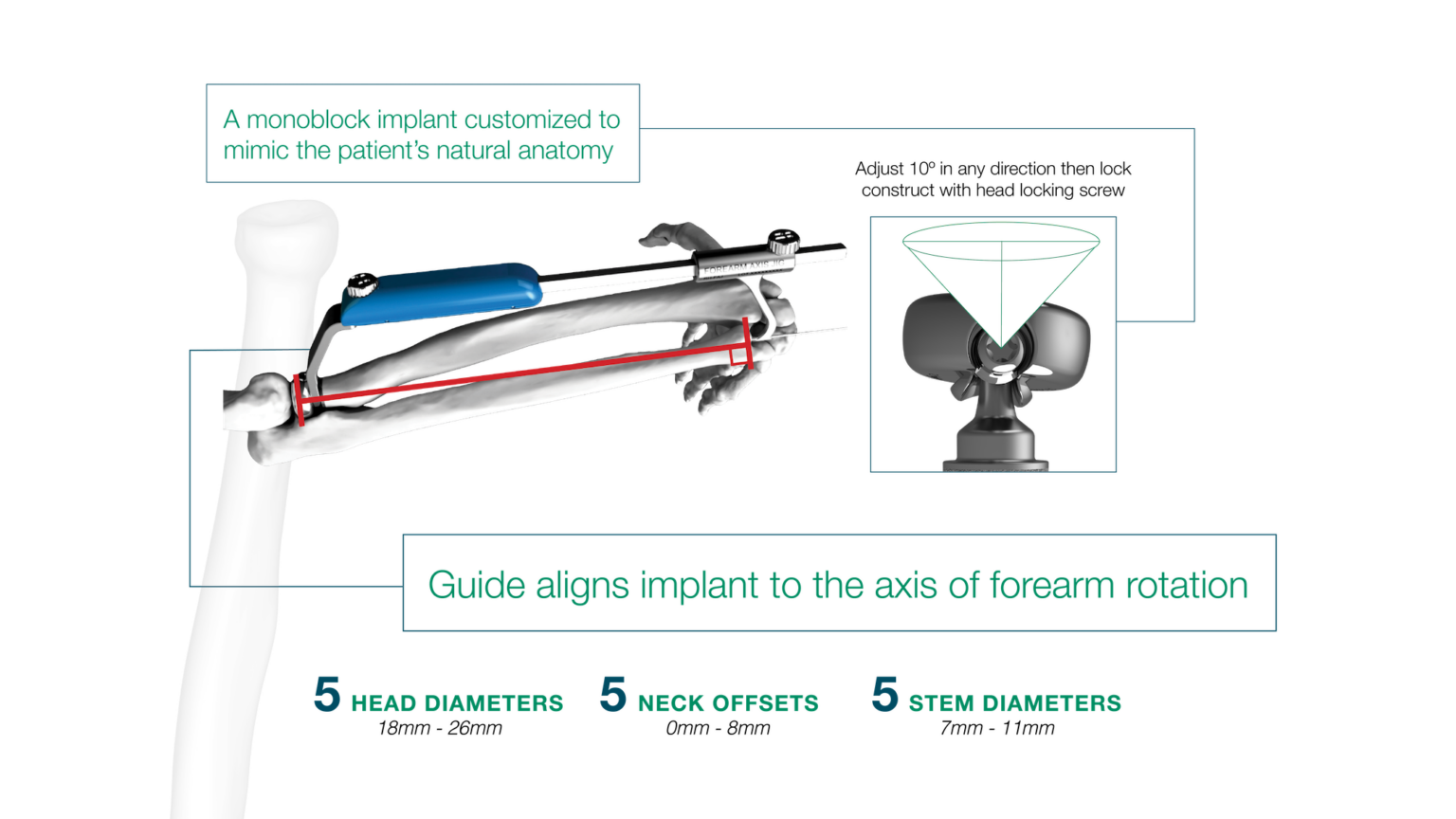 EMEA - Skeletal Dynamics